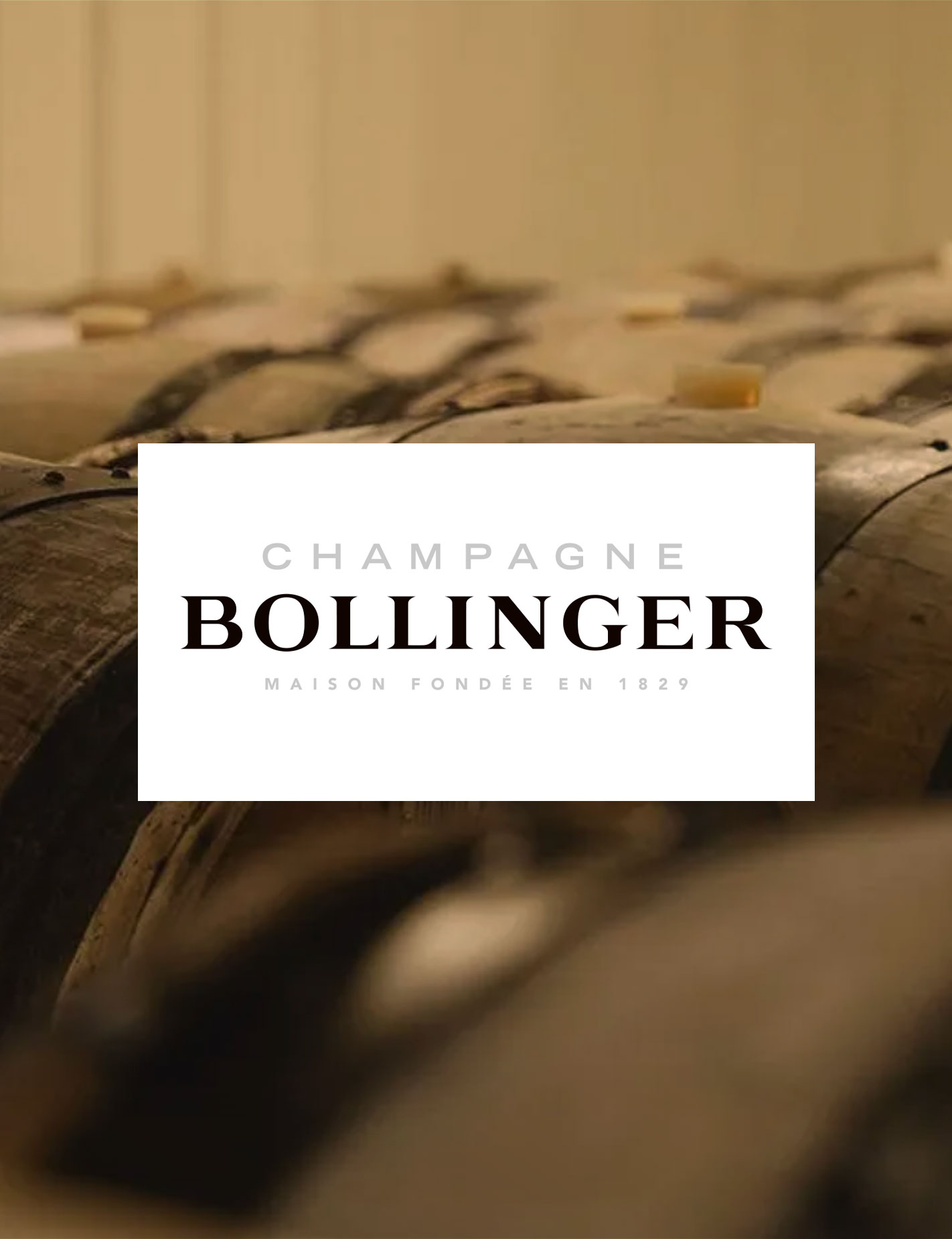 HOME - Groupe Bollinger